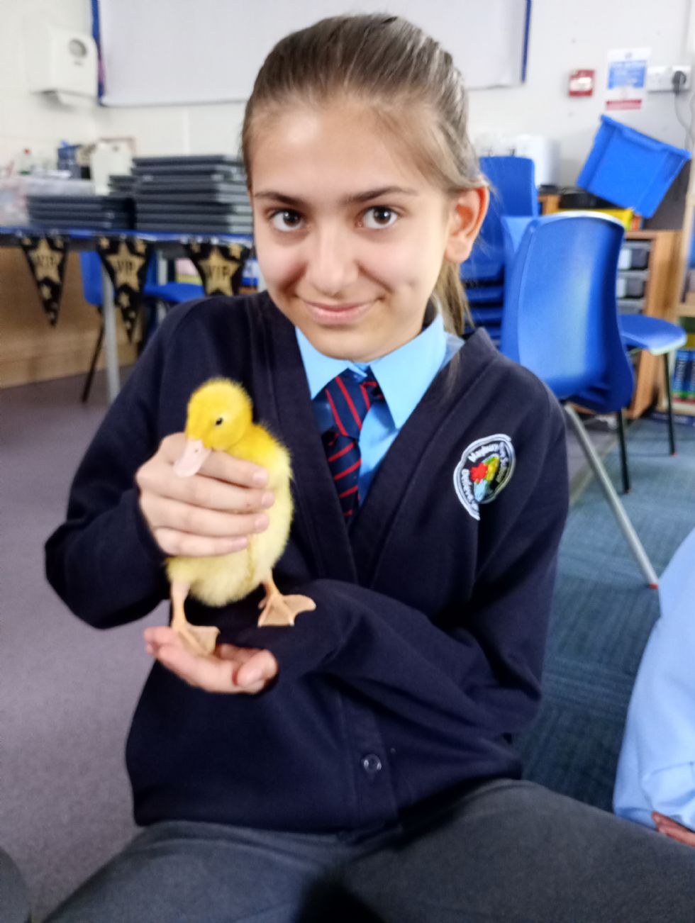 Maybury Primary School - Dolphins