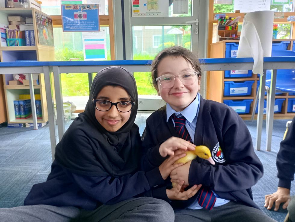 Maybury Primary School - Dolphins